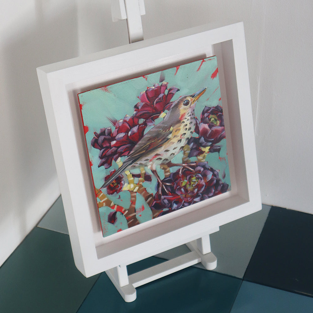 Thrush and Aeoniums, Tracey Elphick – Tamarisk Scilly