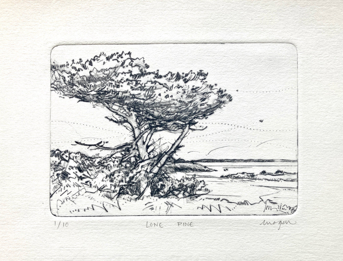 Lone Pine (framed), Imogen Bone – Tamarisk Scilly