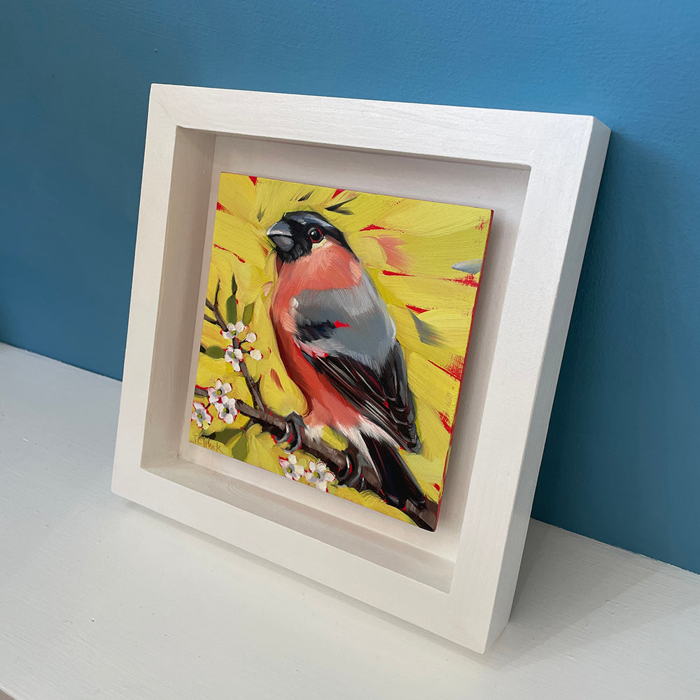 Bullfinch And Blossom, Tracey Elphick – Tamarisk Scilly