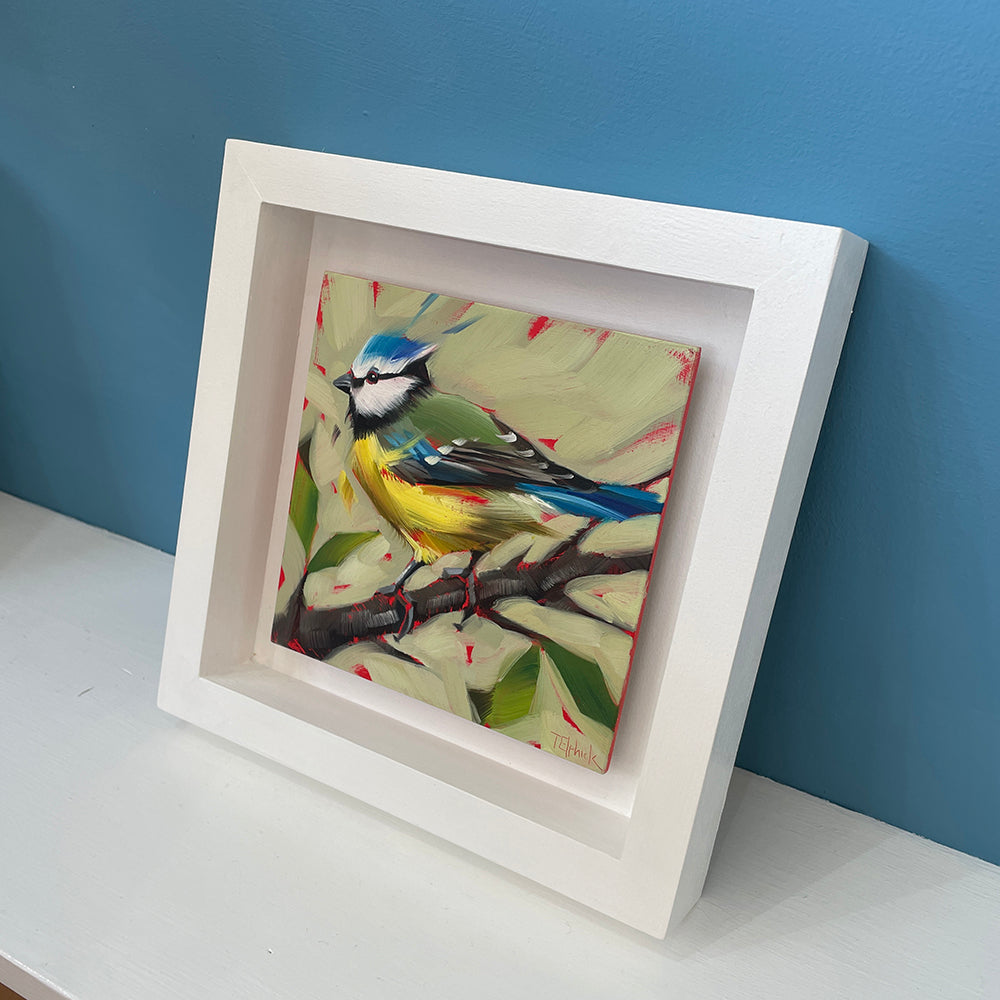 Bluetit On Grey, Tracey Elphick – Tamarisk Scilly