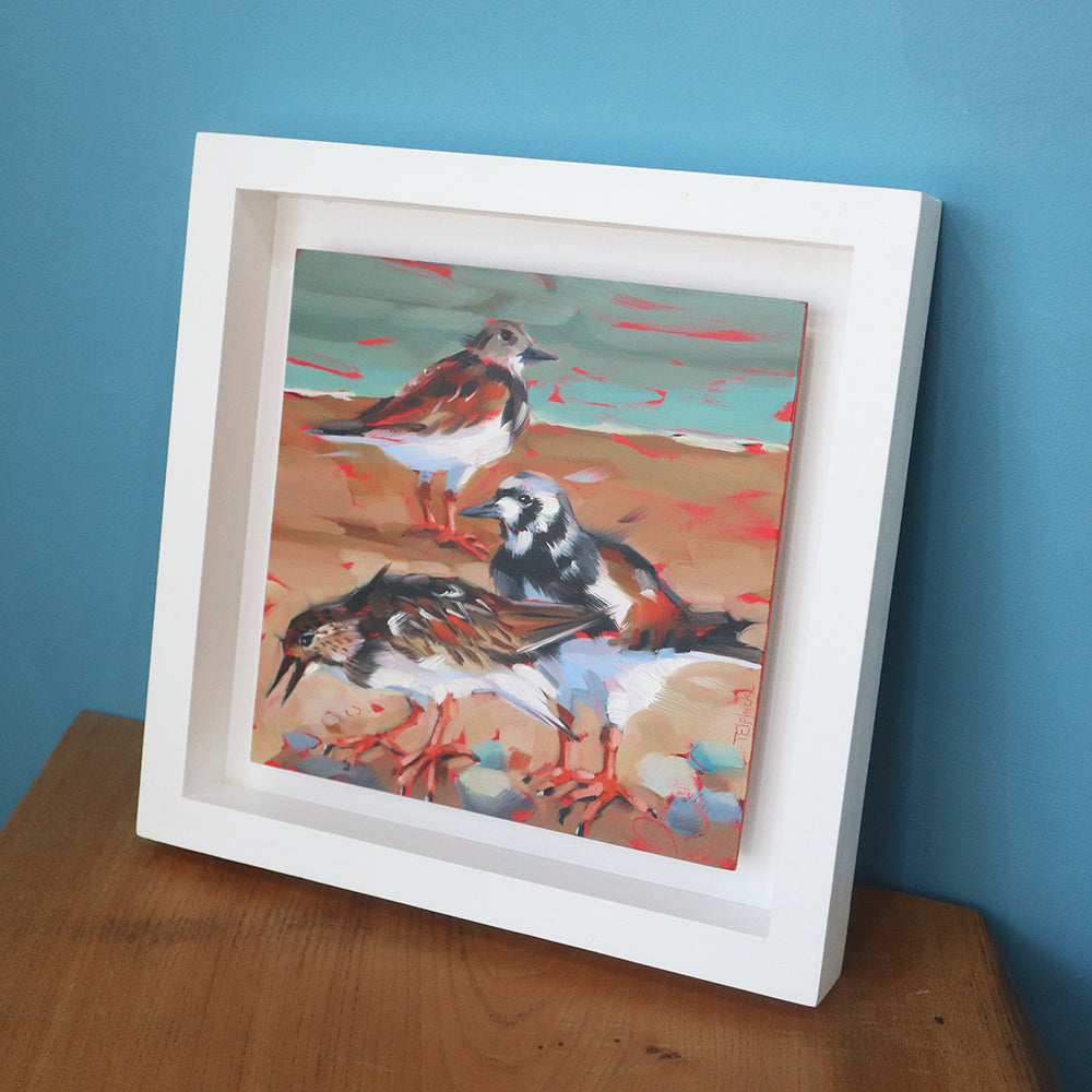Turnstones II, Tracey Elphick – Tamarisk Scilly
