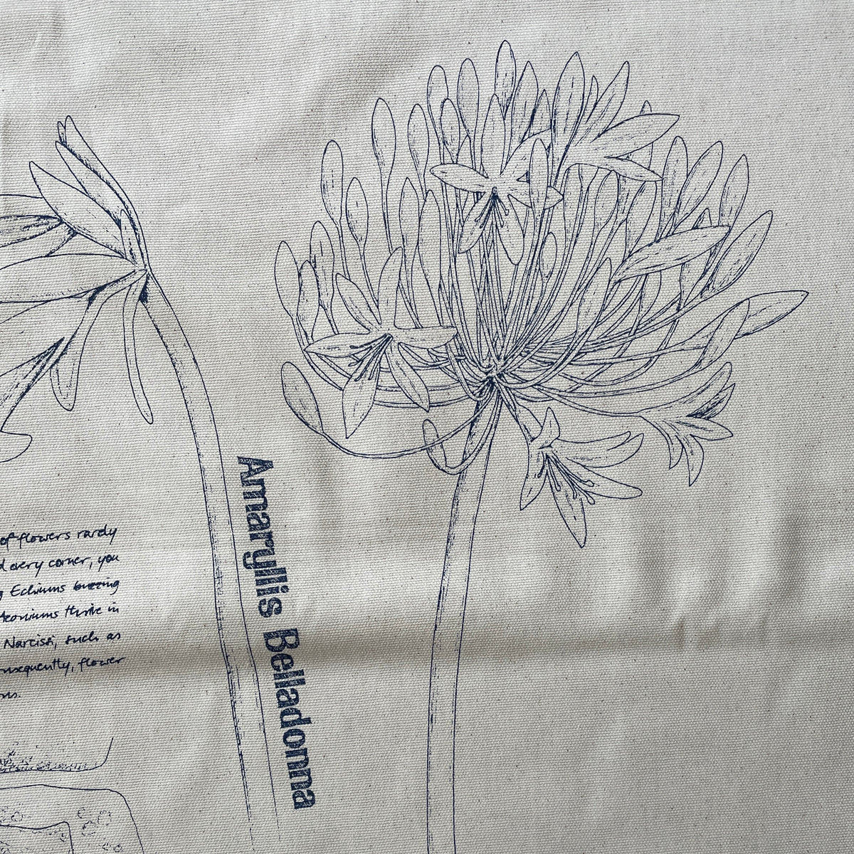Scilly Flora Tea Towel, Erica Hicks – Tamarisk Scilly