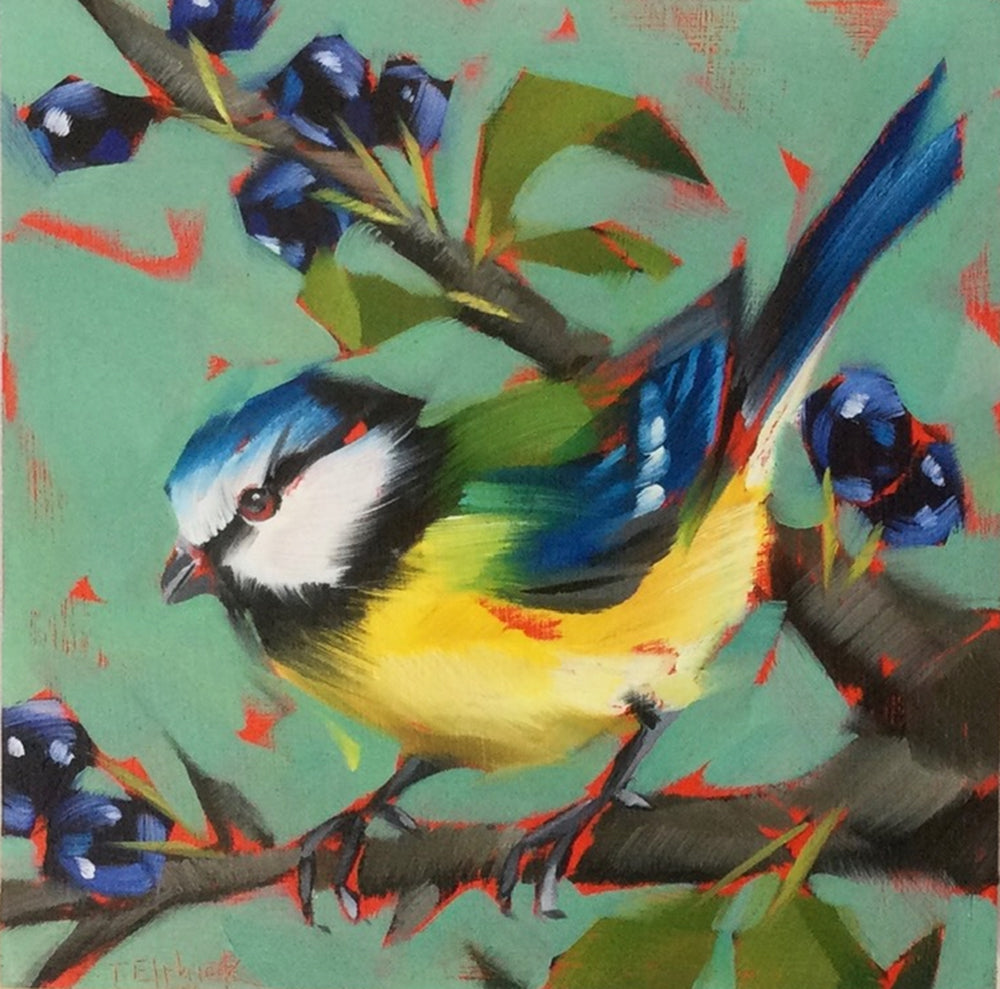 Blue Tit, Tracey Elphick – Tamarisk Scilly